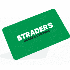 Welcome to Strader’s Garden Center!
