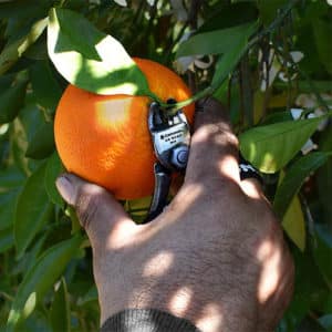 Tools & Equipment | Strader’s Garden Centers