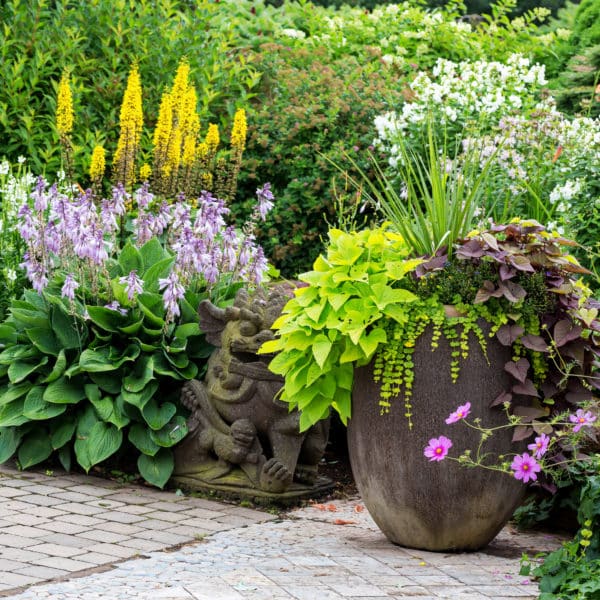 Home & Garden Decor | Strader's Garden Centers