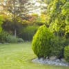 Lawn & Garden Care | Strader's Garden Centers