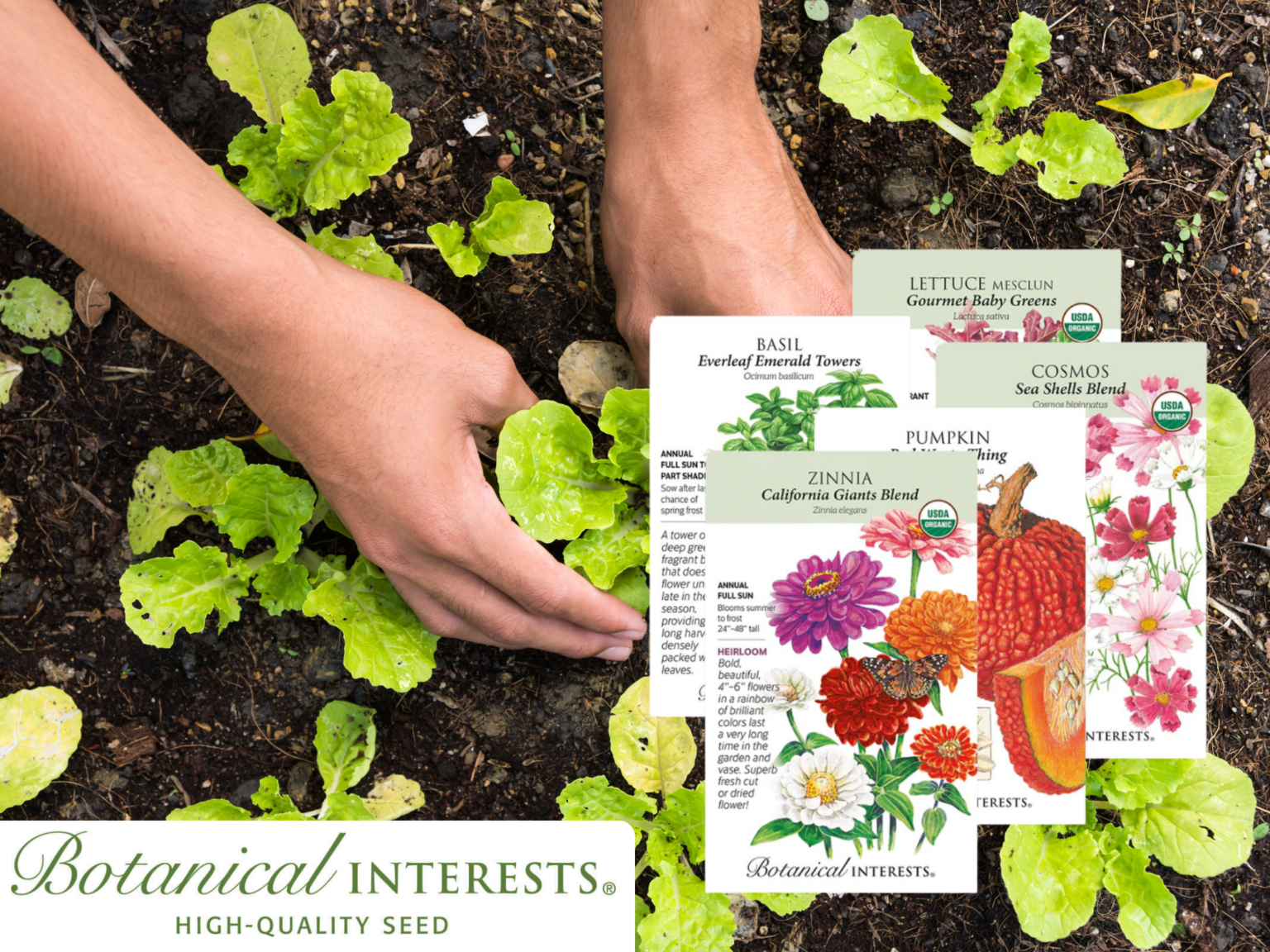 Discover the Superior Quality of Botanical Interests® Seeds | Strader’s ...