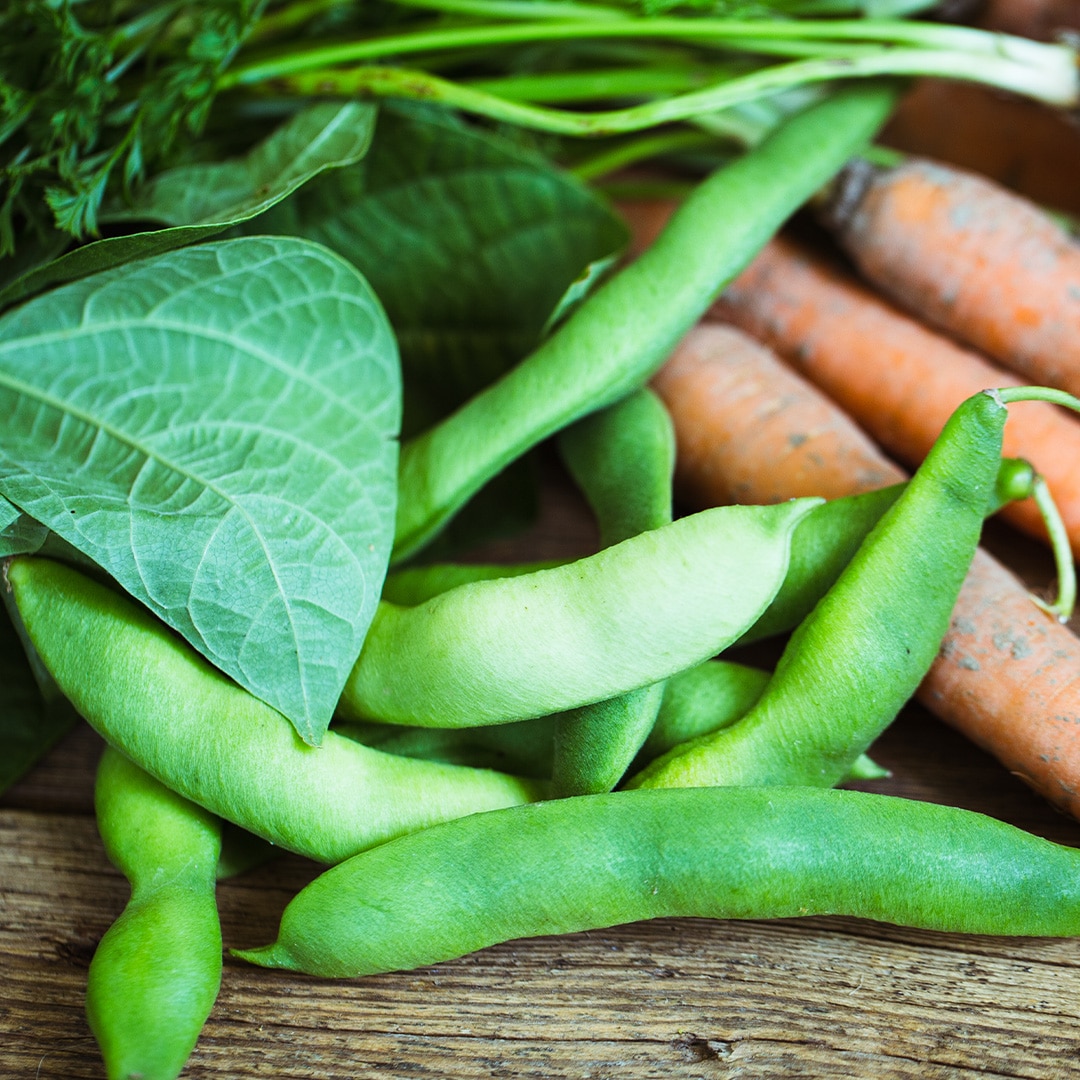 Cool Season Vegetables: Planting Tips & Timing | Strader's Garden Centers