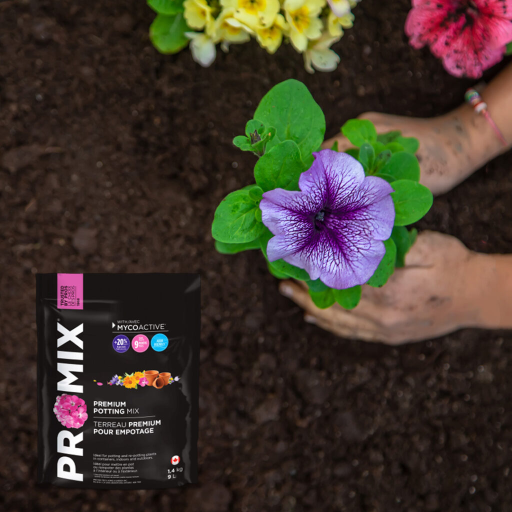 Perfect Potting Solutions with Pro Mix Soils | Strader's Garden Centers