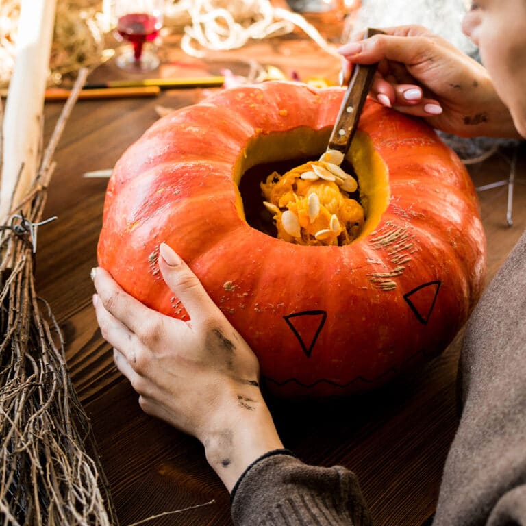 Home | Strader’s Garden Center Columbus, Ohio