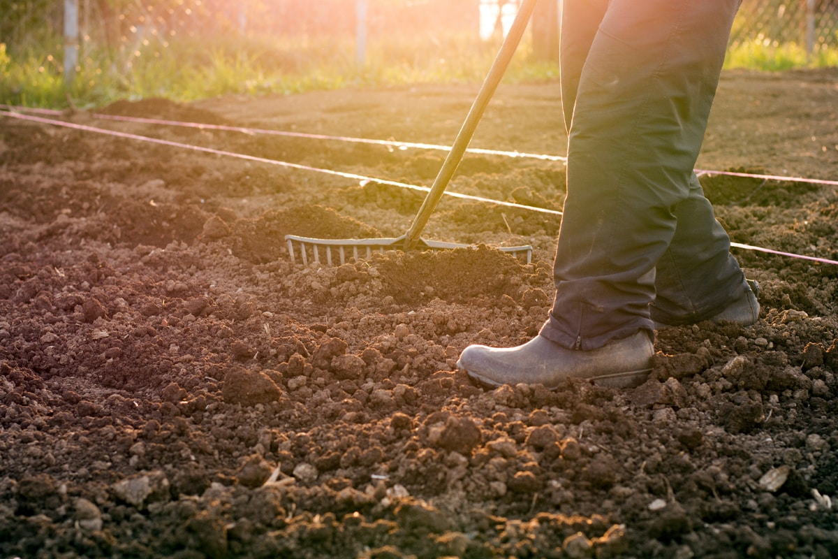 Home | Strader’s Garden Center Columbus, Ohio