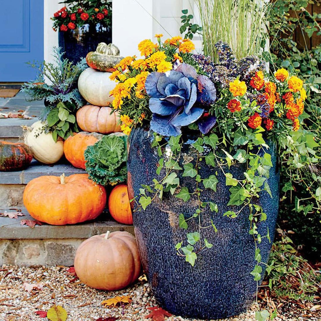 Fall Container Gardening Ideas: Brighten Your Porch with Strader’s ...