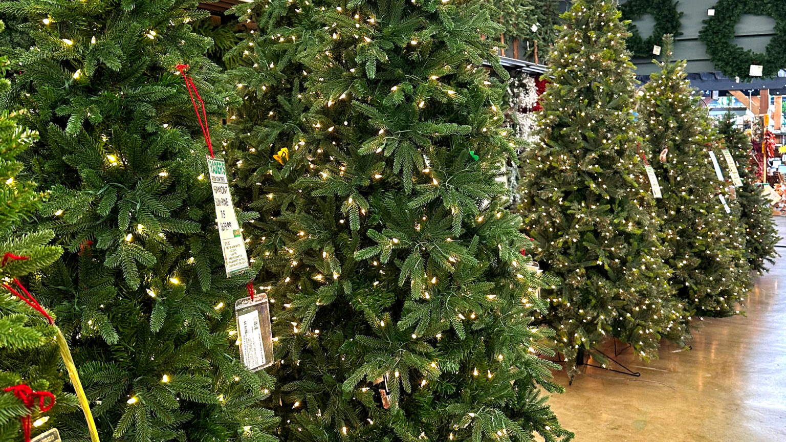 Home | Strader’s Garden Center Columbus, Ohio