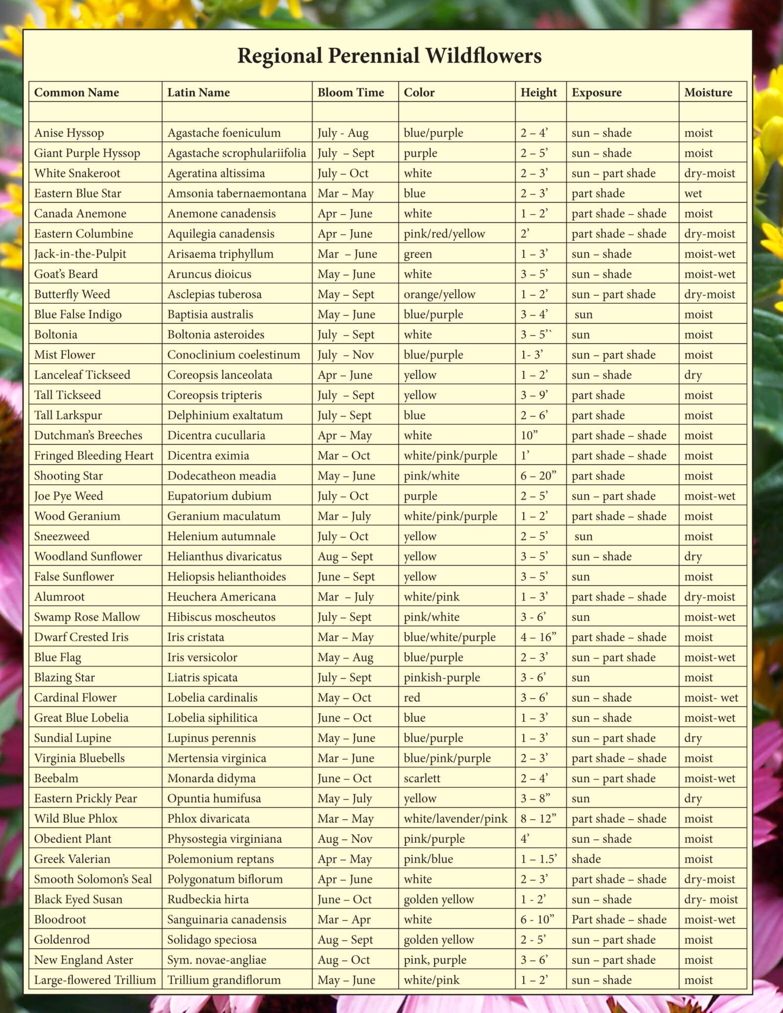 Naturescaping With Native Perennial Wildflowers | Strader's Garden Centers